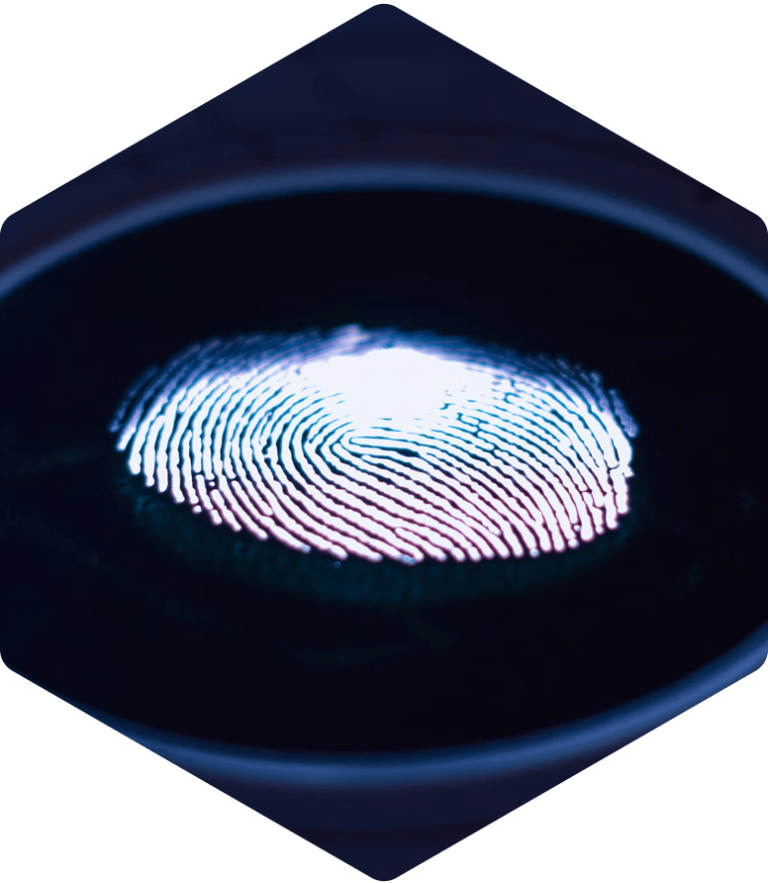 Virtual Security Assessments » LUNIQ